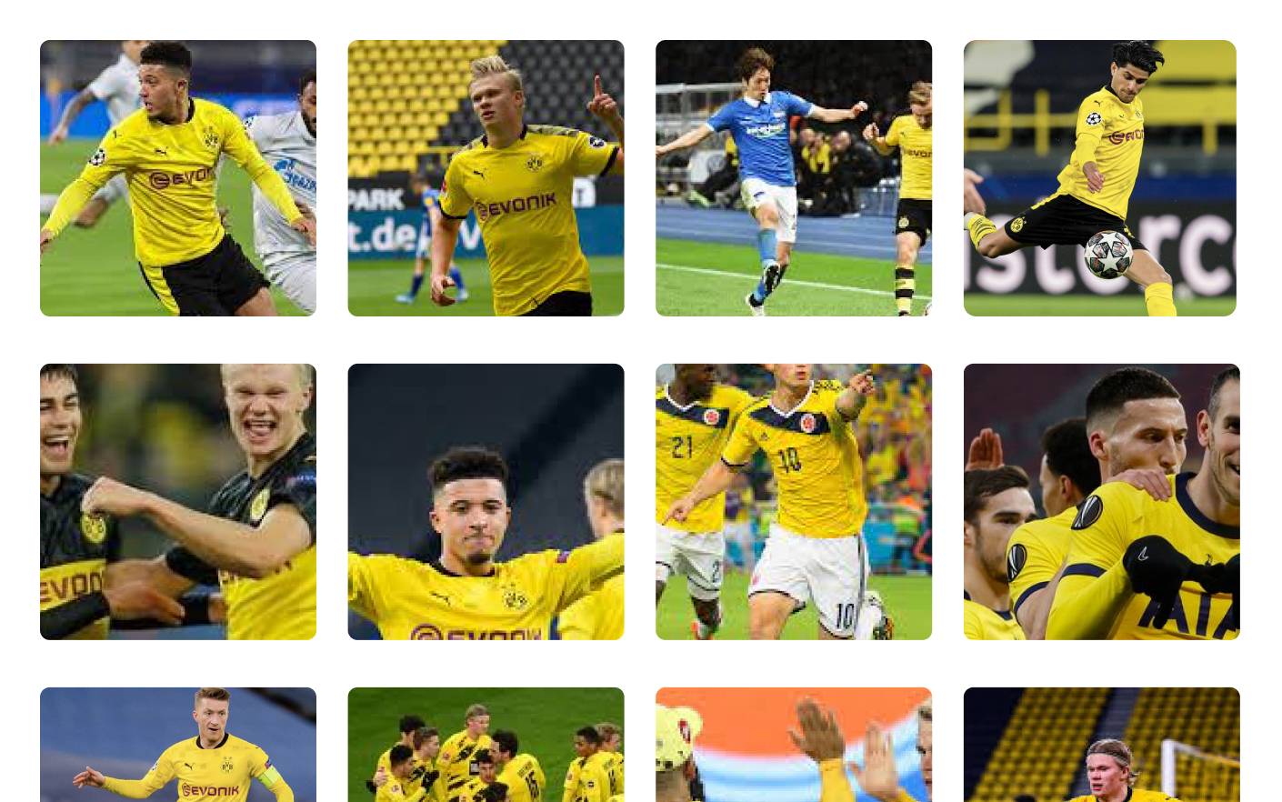 Digital Media Distribution Software for Sports Teams & Leagues | Greenfly