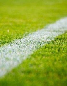 Greenfly | Digital Media Distribution & Management Software