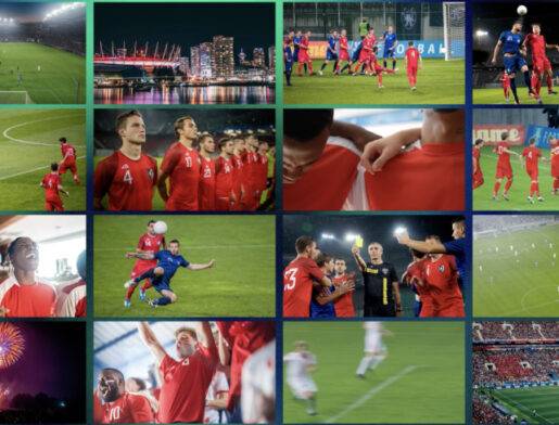 Greenfly | Short-Form Media Automation & Distribution Software