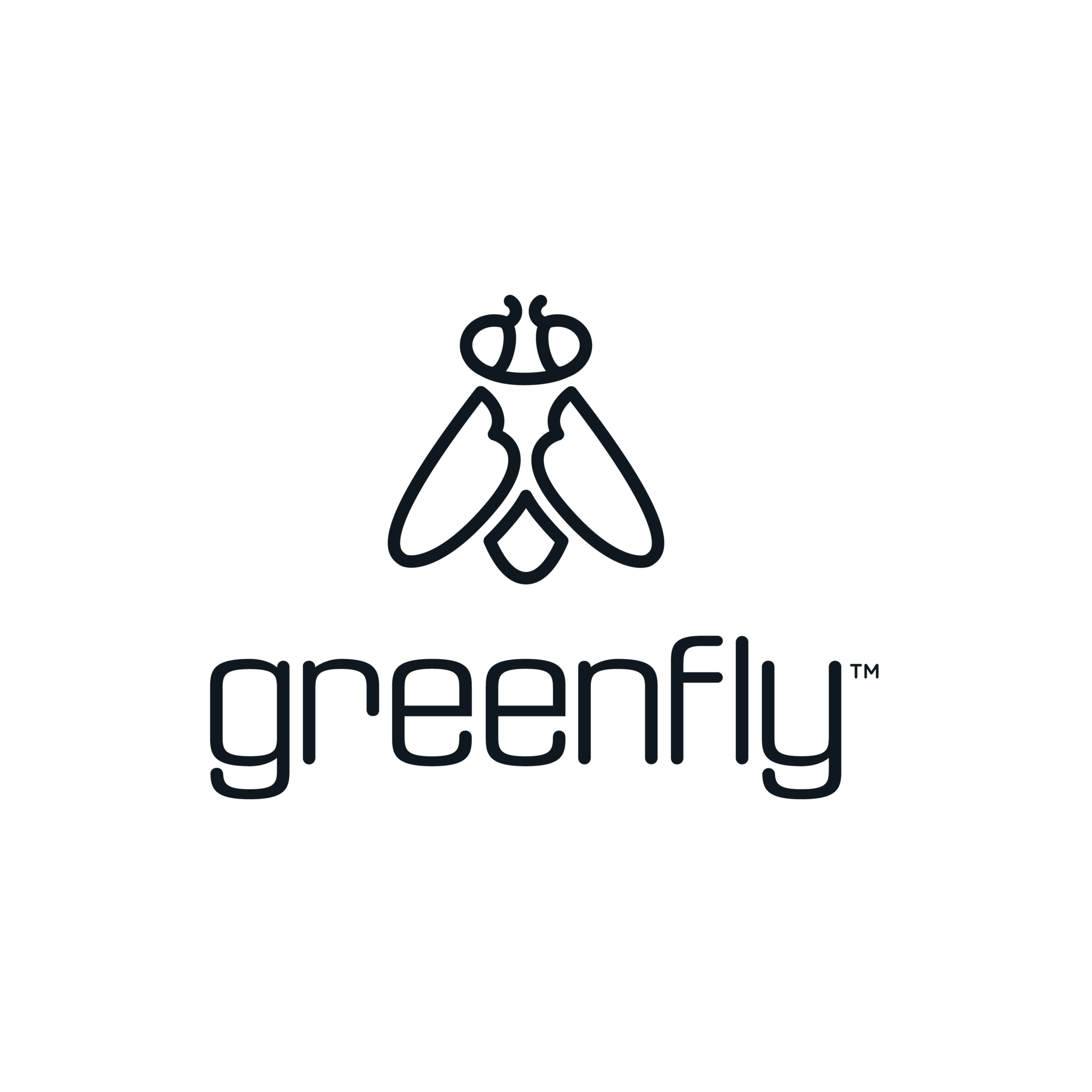 Leadership. The Executive Management Team | Greenfly